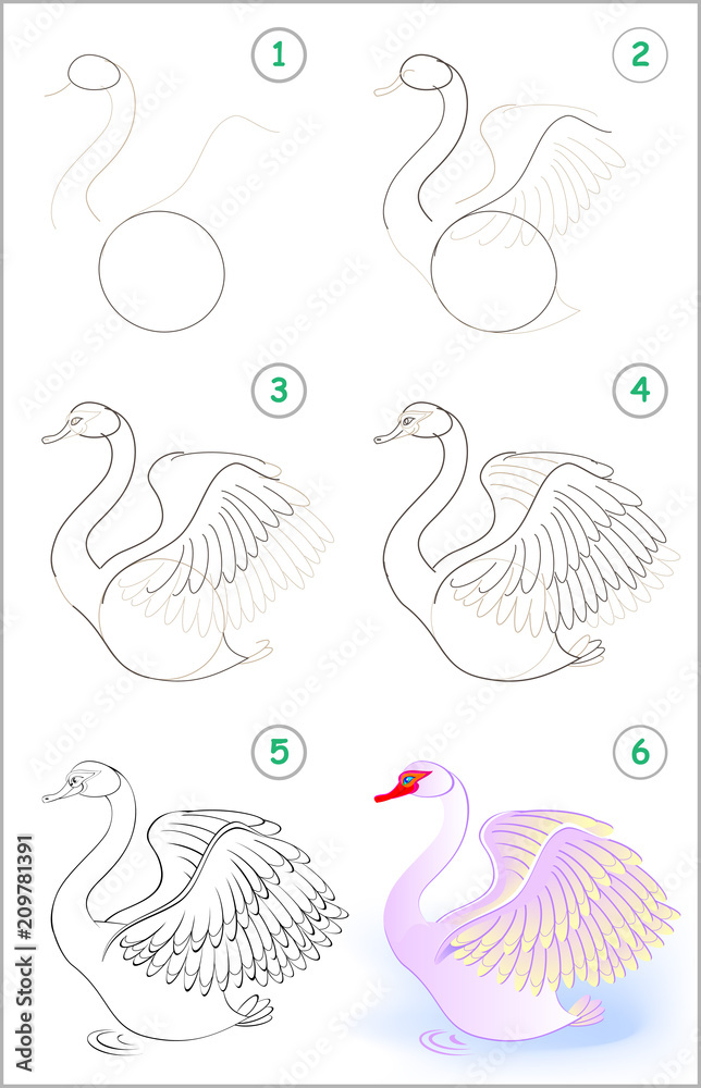 Page shows how to learn step by step to draw a cute swan. Developing ...