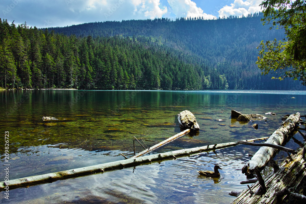 Glacial Black Lake (Cerne jezero) with crystal-clear water surrounded ...