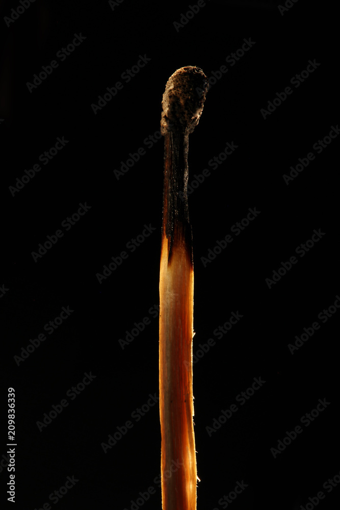 Burnt Stick