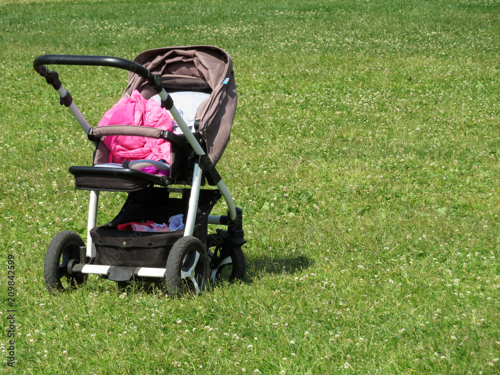 Pink And Green Baby Carriage
