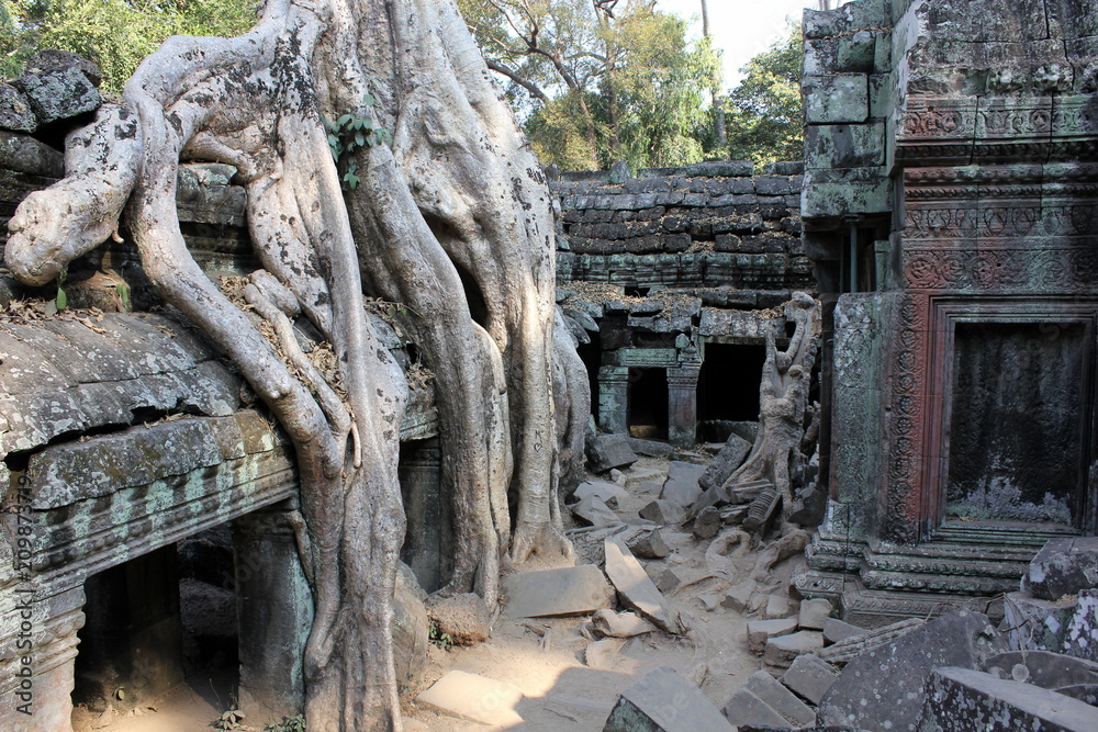 Tree roots growing in Ta Phrom temple in Angkor Wat, Siem Reap ...