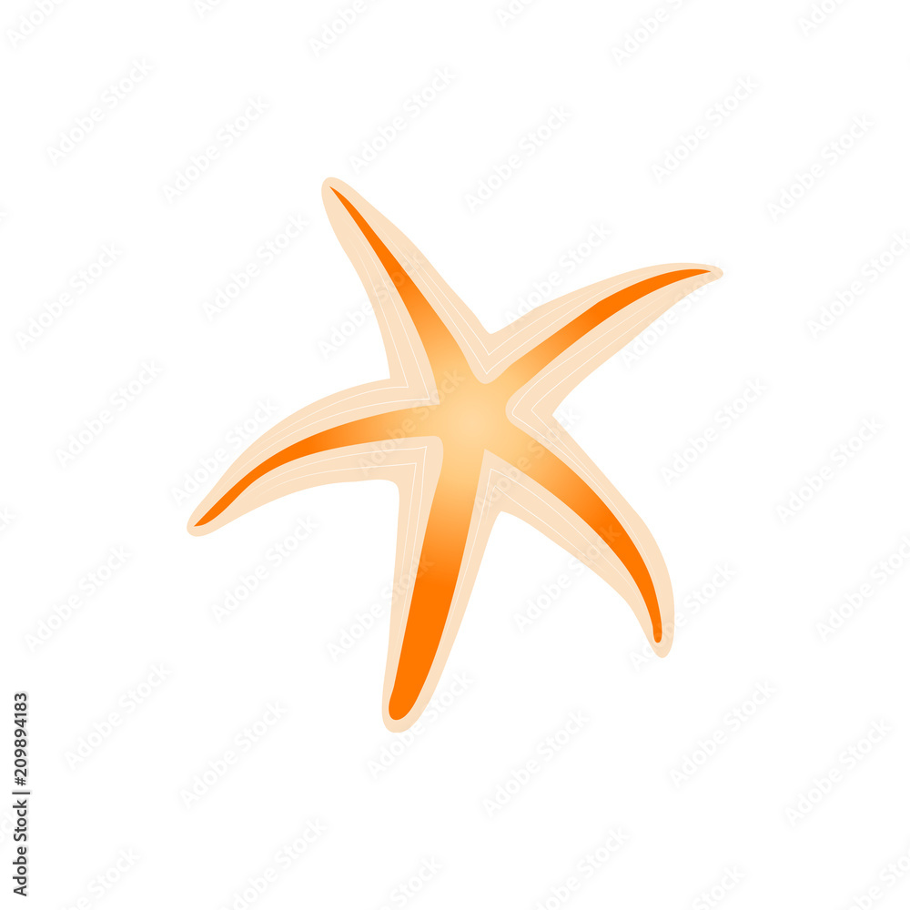 Seestern Stock-Vektorgrafik | Adobe Stock