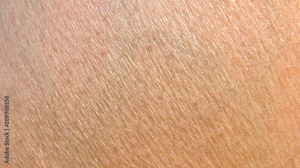 human skin texture Stock Photo | Adobe Stock