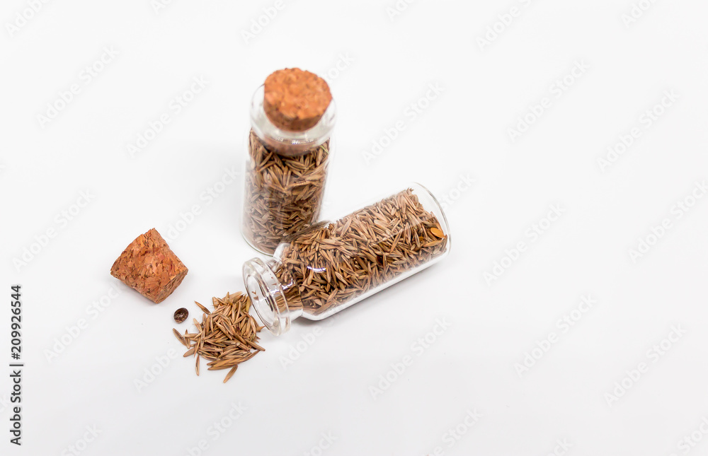 Samen aus der Phiole Stock Photo | Adobe Stock