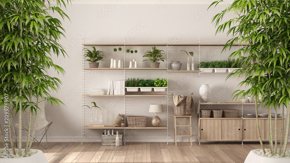 Zen interior with potted bamboo plant, natural interior design concept ...