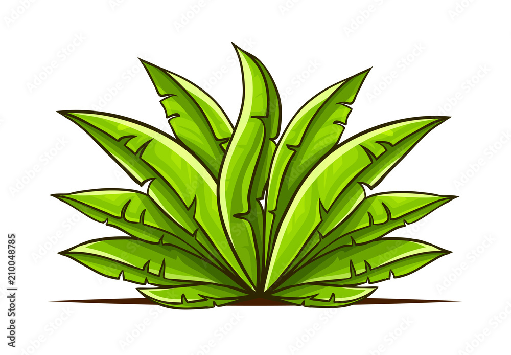 Tropical bush with green leaves hand drawn in cartoon style. Stock ...