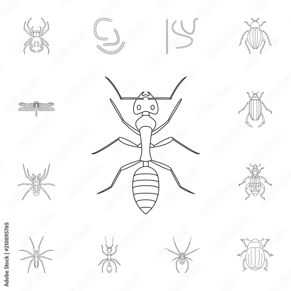 Ant icon. Simple element illustration. Ant symbol design from Insect ...
