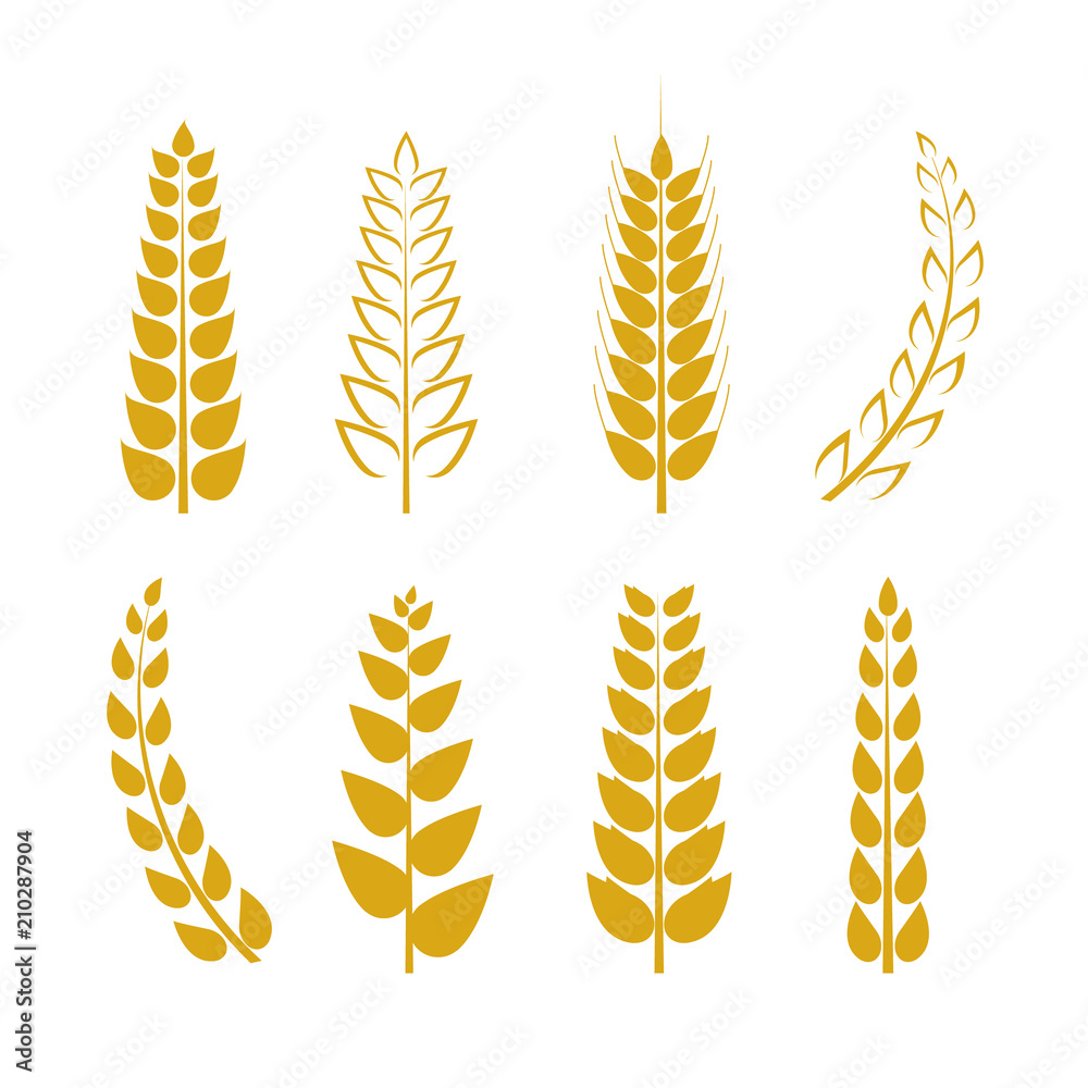 Wheat Template
