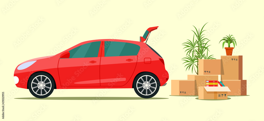 Things in the box next to the trunk of the car. Moving with boxes ...