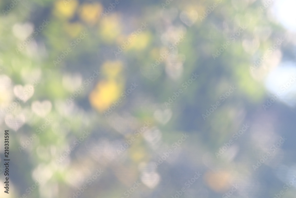Bokeh Nature Wallpaper