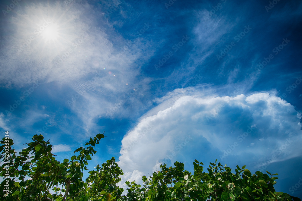 Storm and rain clouds with mangrove trees in the Florida Keys near Key ...