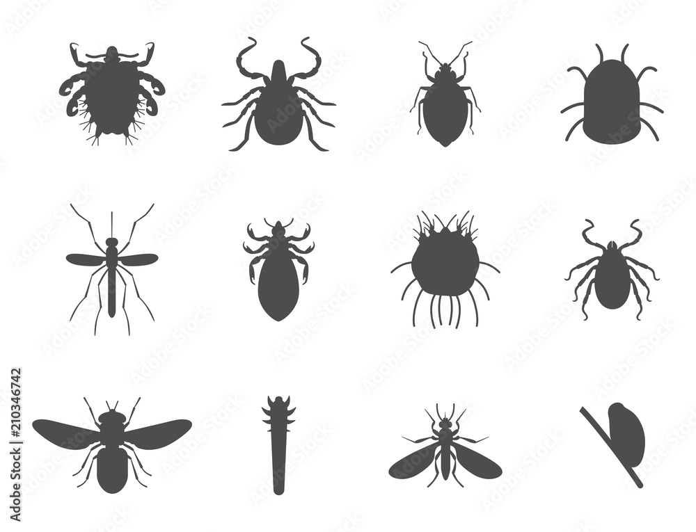 Human skin parasites vector silhouette housing pests insects disease ...