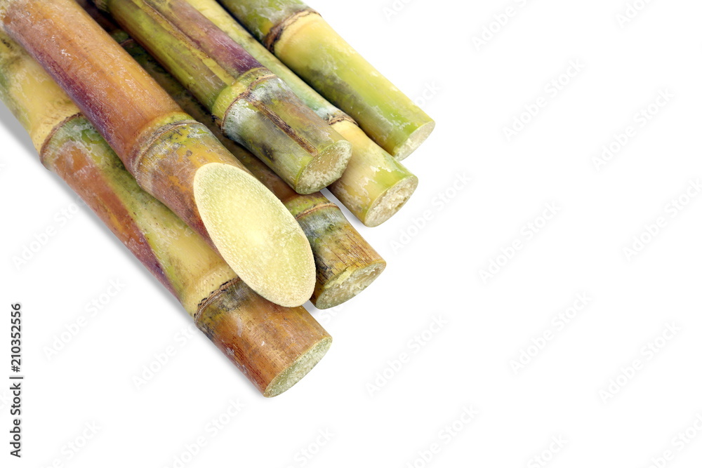 Sugar cane, Cane, Sugarcane piece fresh, sugar cane on white background ...
