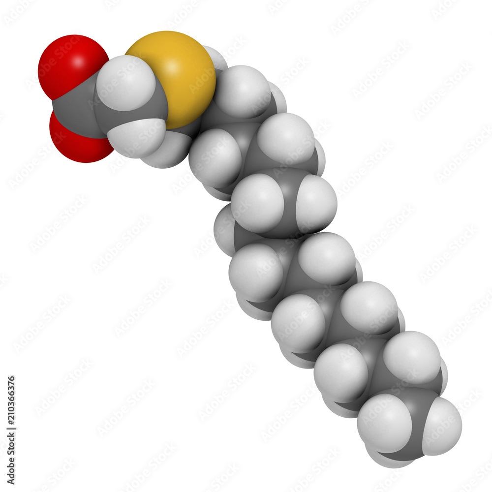 Tetradecylthioacetic acid (TTA) synthetic fatty acid molecule. 3D ...