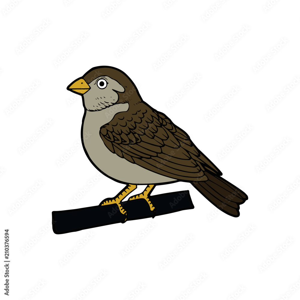 Sparrow cartoon illustration isolated on white background for children ...