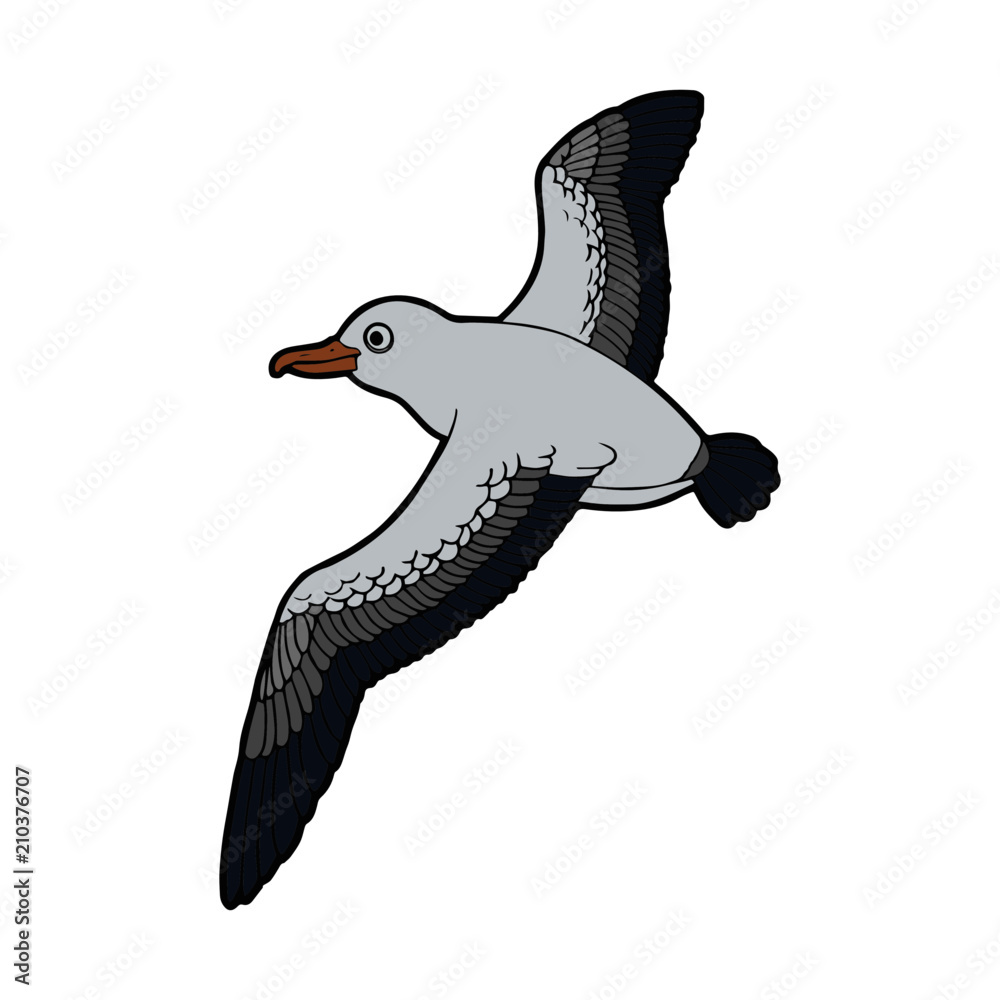 Seagull cartoon illustration isolated on white background for children ...