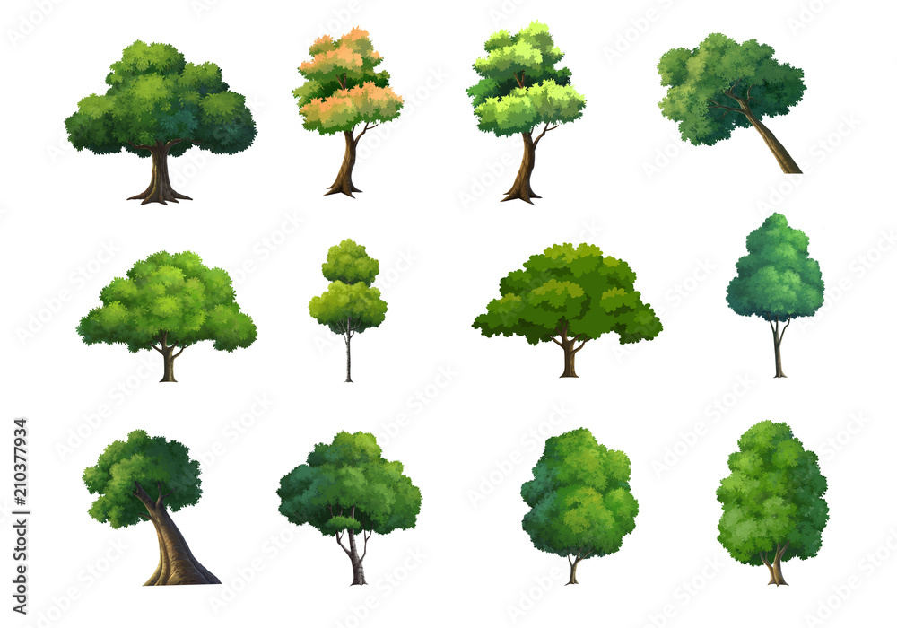 Illustration of trees isolated on white background. Stock Illustration ...