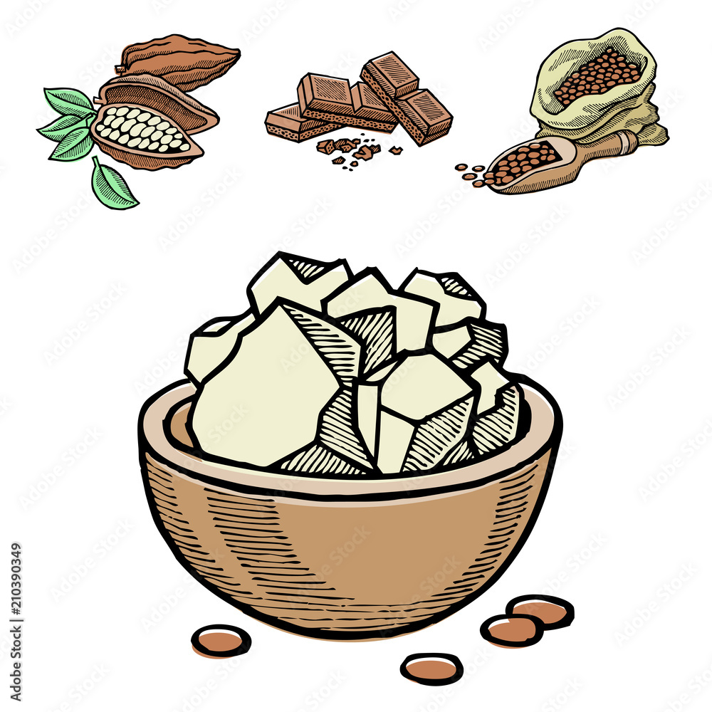 Vector cocoa products hand drawn sketch doodle food chocolate sweet ...