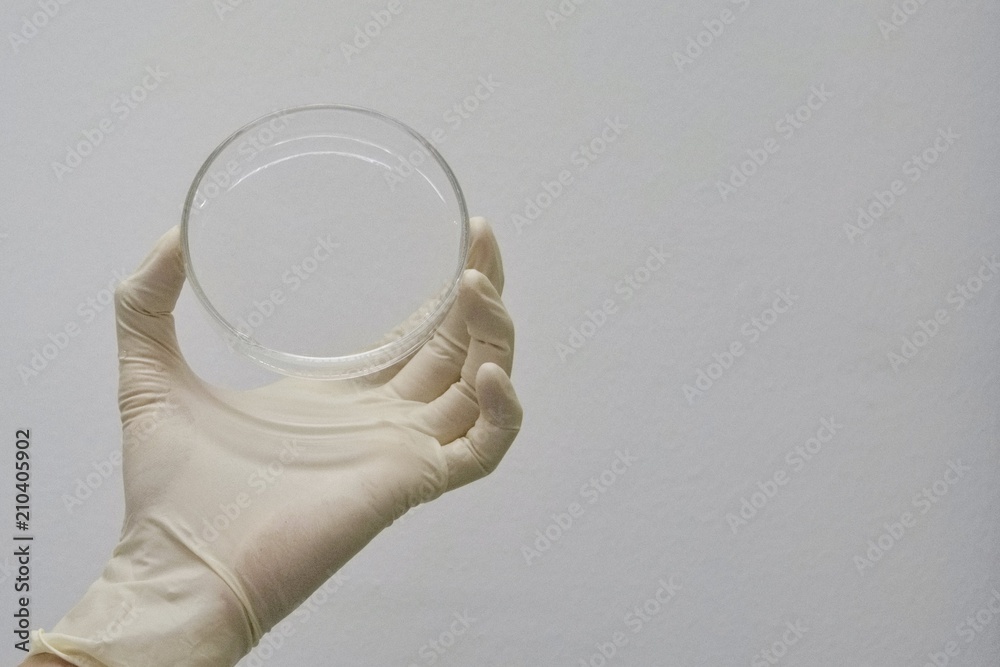 A Petri dish, named after the German bacteriologist Julius Richard ...