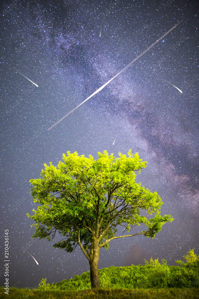 Green tree Milky way night sky falling stars Stock Photo | Adobe Stock