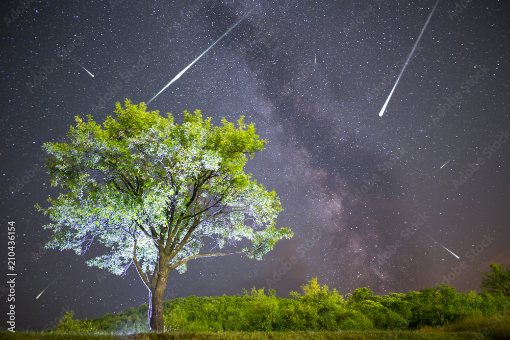 Green tree Milky way night sky falling stars Stock Photo | Adobe Stock