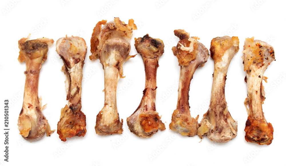 chicken bones on a white background Stock Photo | Adobe Stock