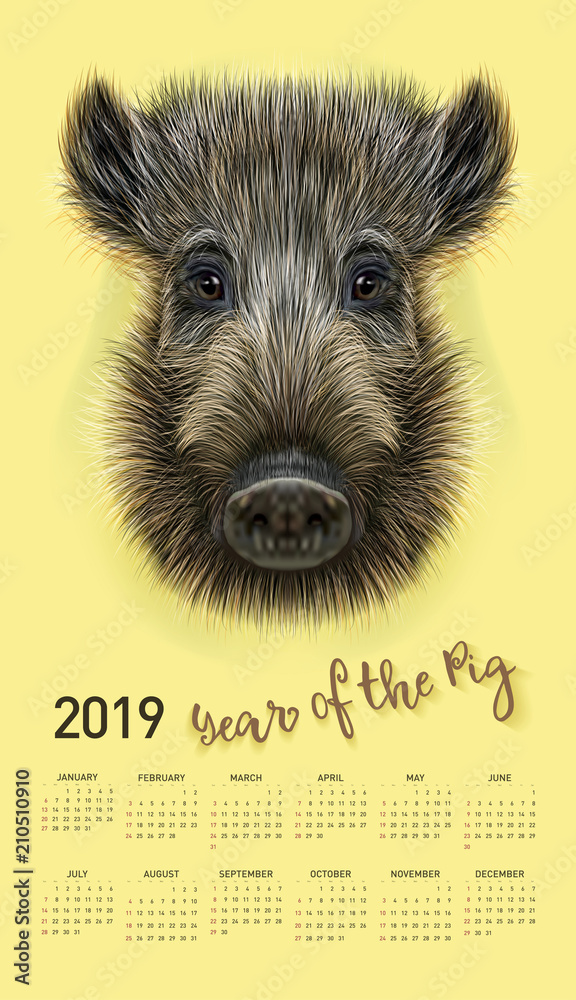 Pig calendar for 2019. Vector editable template with concept. Symbol of ...