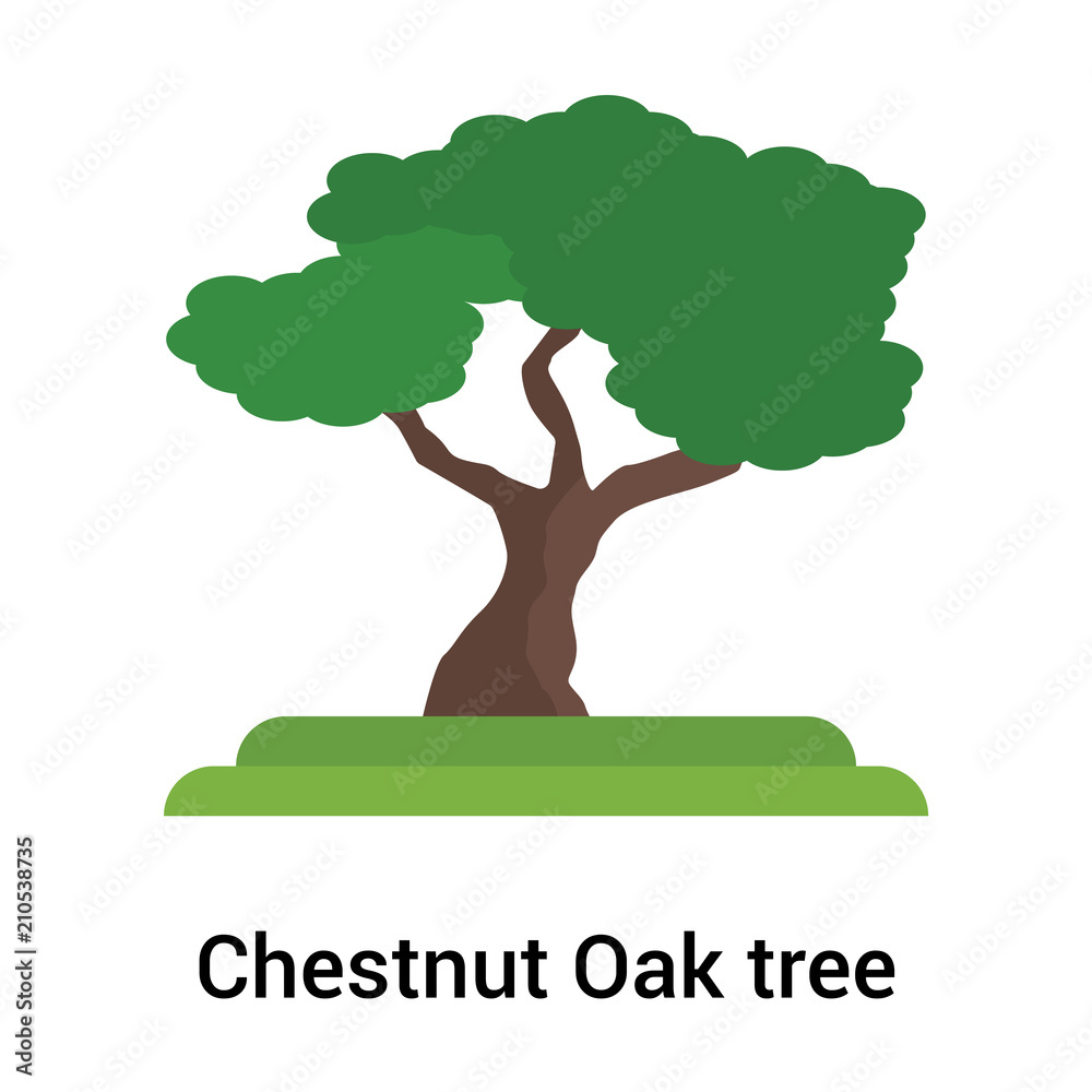 Oak Tree Clip Art Vector