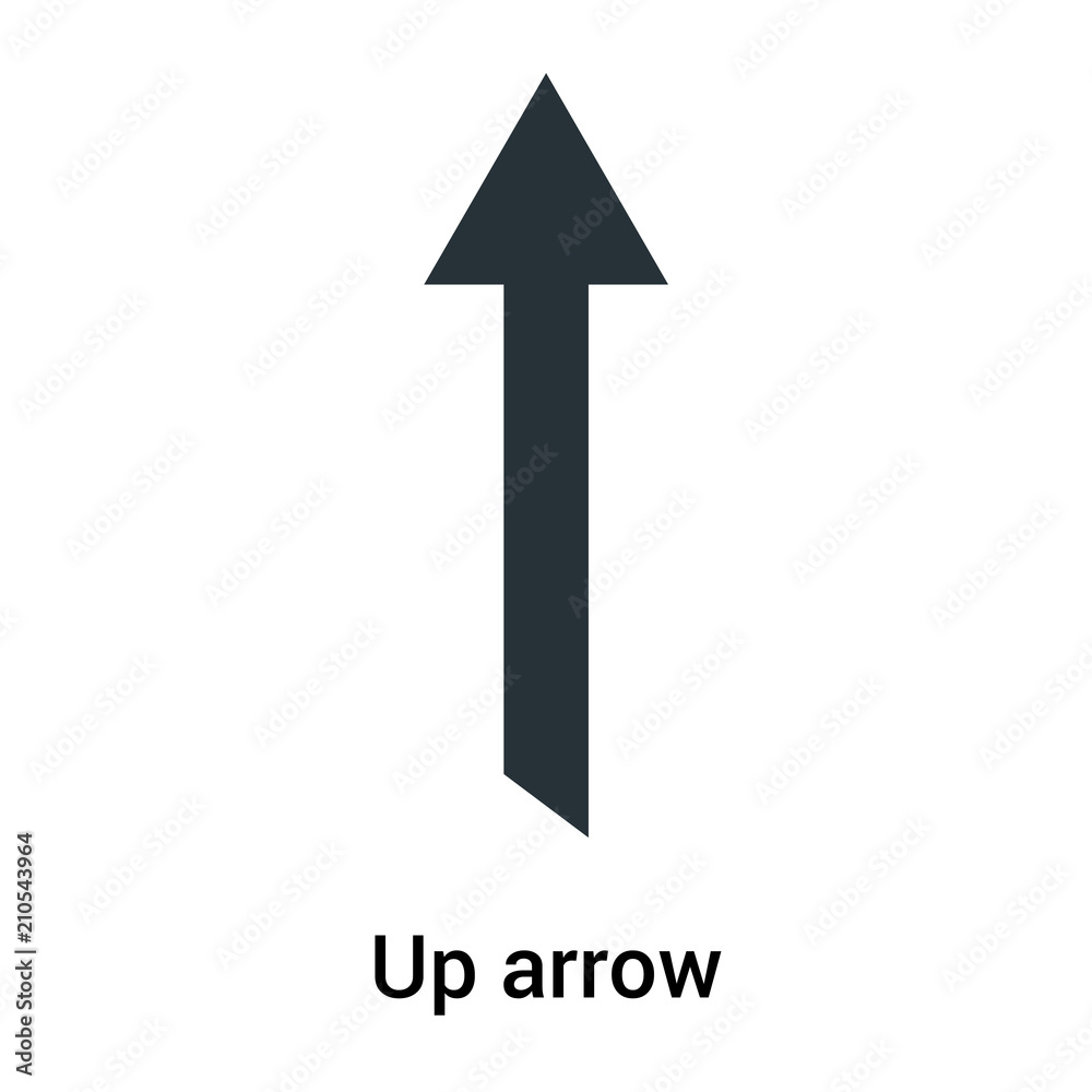 Up arrow icon vector sign and symbol isolated on white background, Up ...