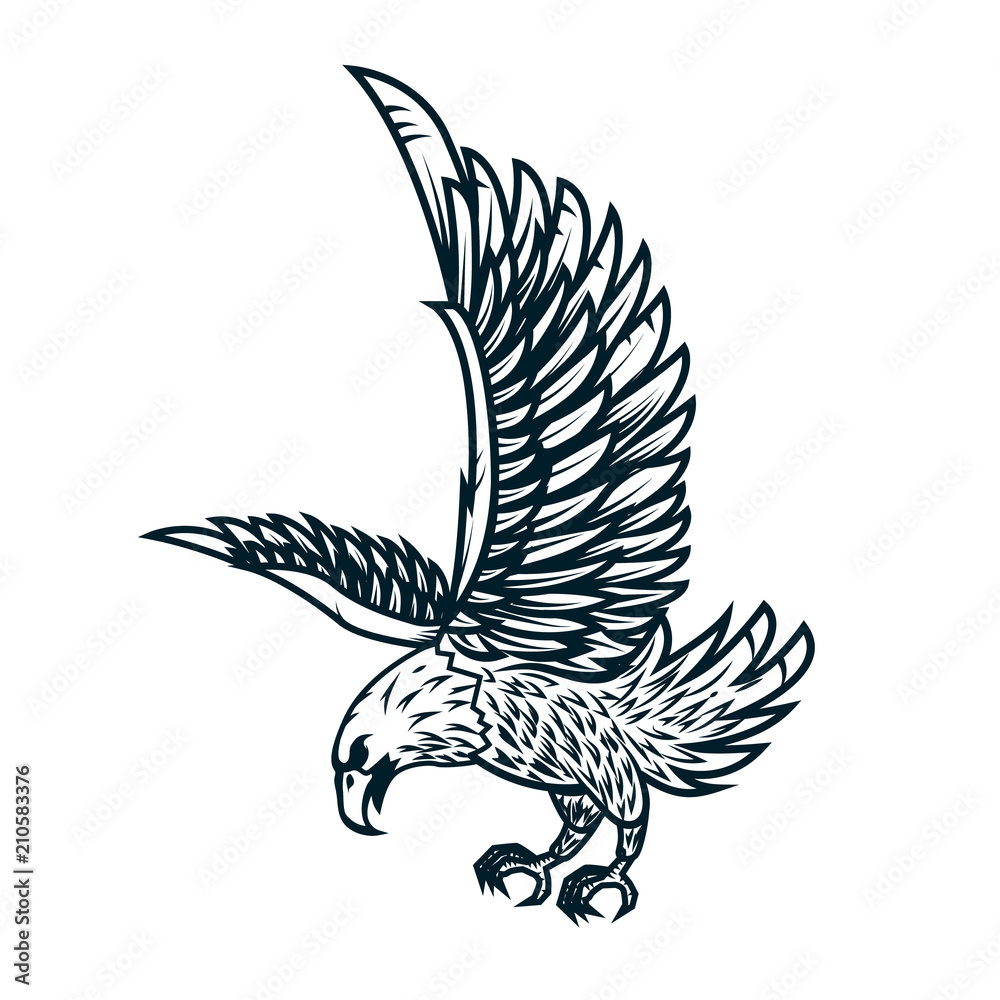 Eagle illustration on white background. Design element or poster, card ...