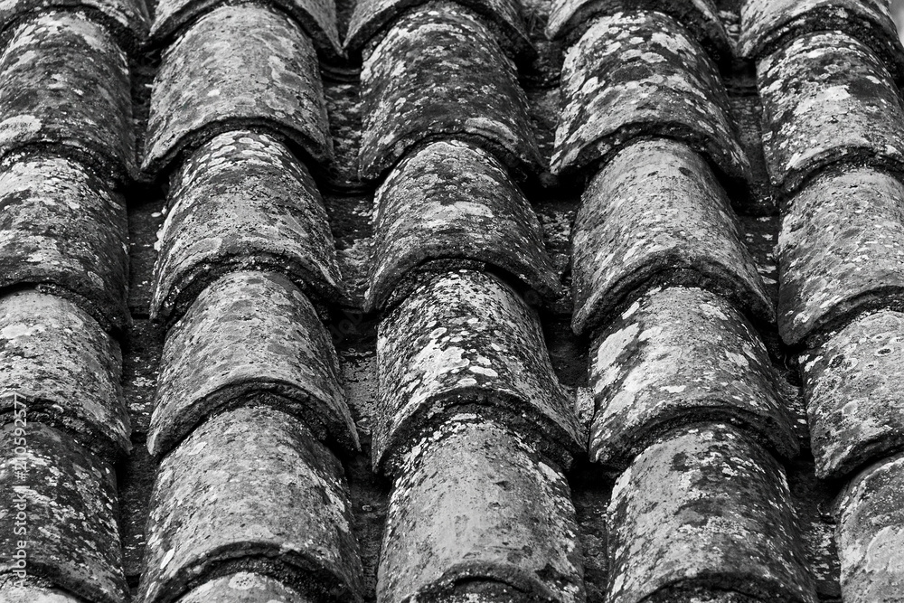 Old shingles, black and white background of shingles Stock Photo ...
