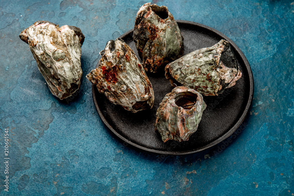 SEAFOOD PICOROCO. Austromegabalanus psittacus, the giant barnacle or ...