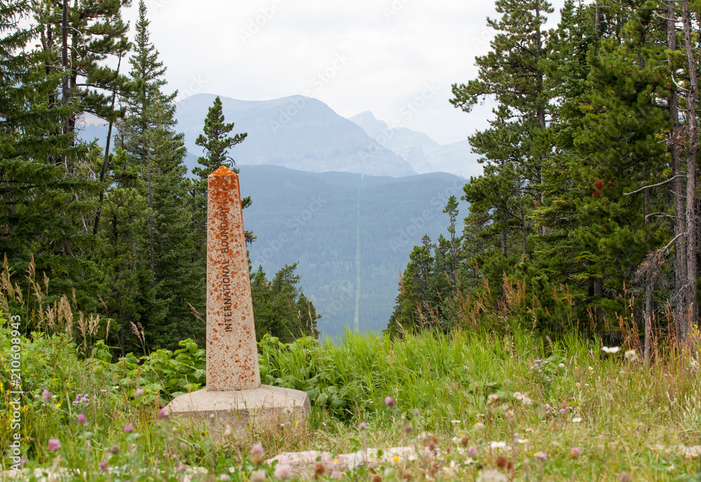 Canadian Border Forest