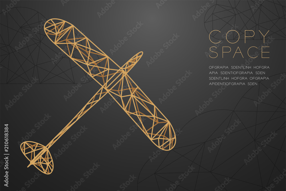 Glider plane gold color and cloud wireframe Low polygon frame structure ...