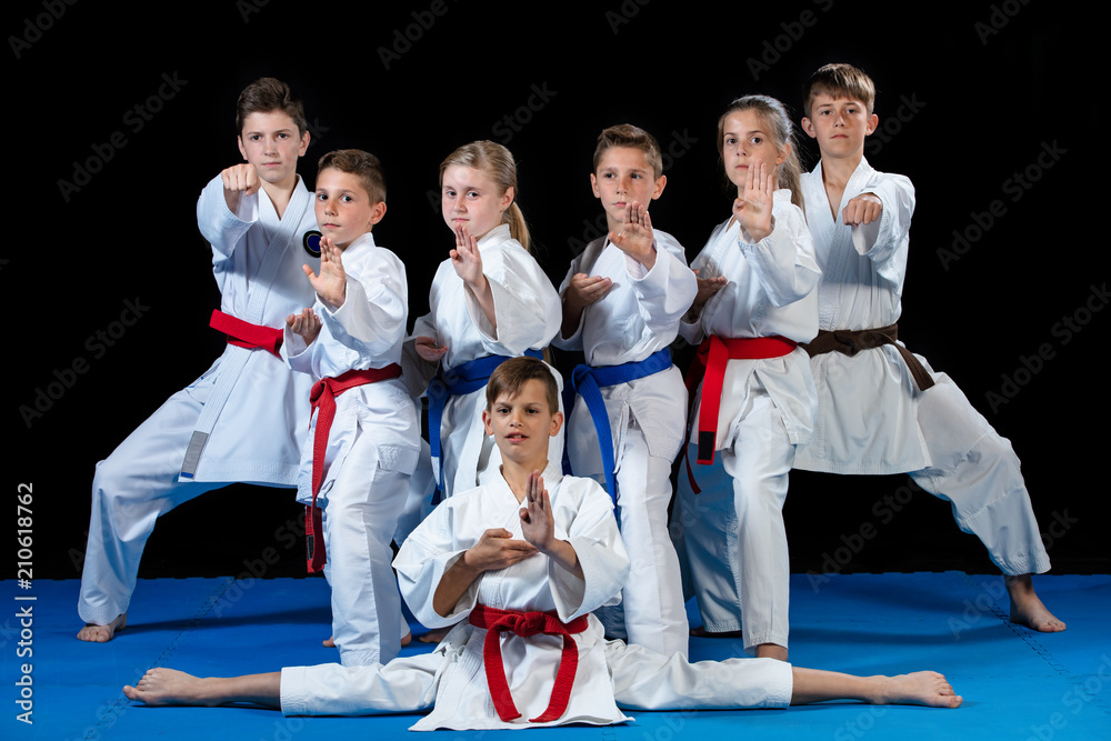 young, beautiful, successful multi ethical karate kids in karate ...