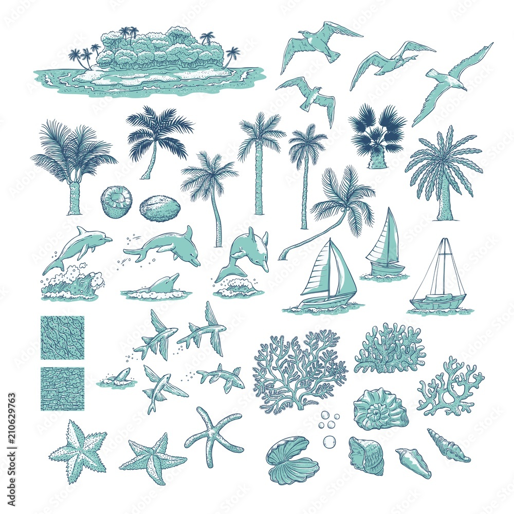 Summer set tropical plants marine and water animals. Island with palm ...