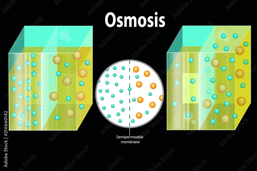 Reverse Osmosis. Process. Water passing through a semi-permeable ...