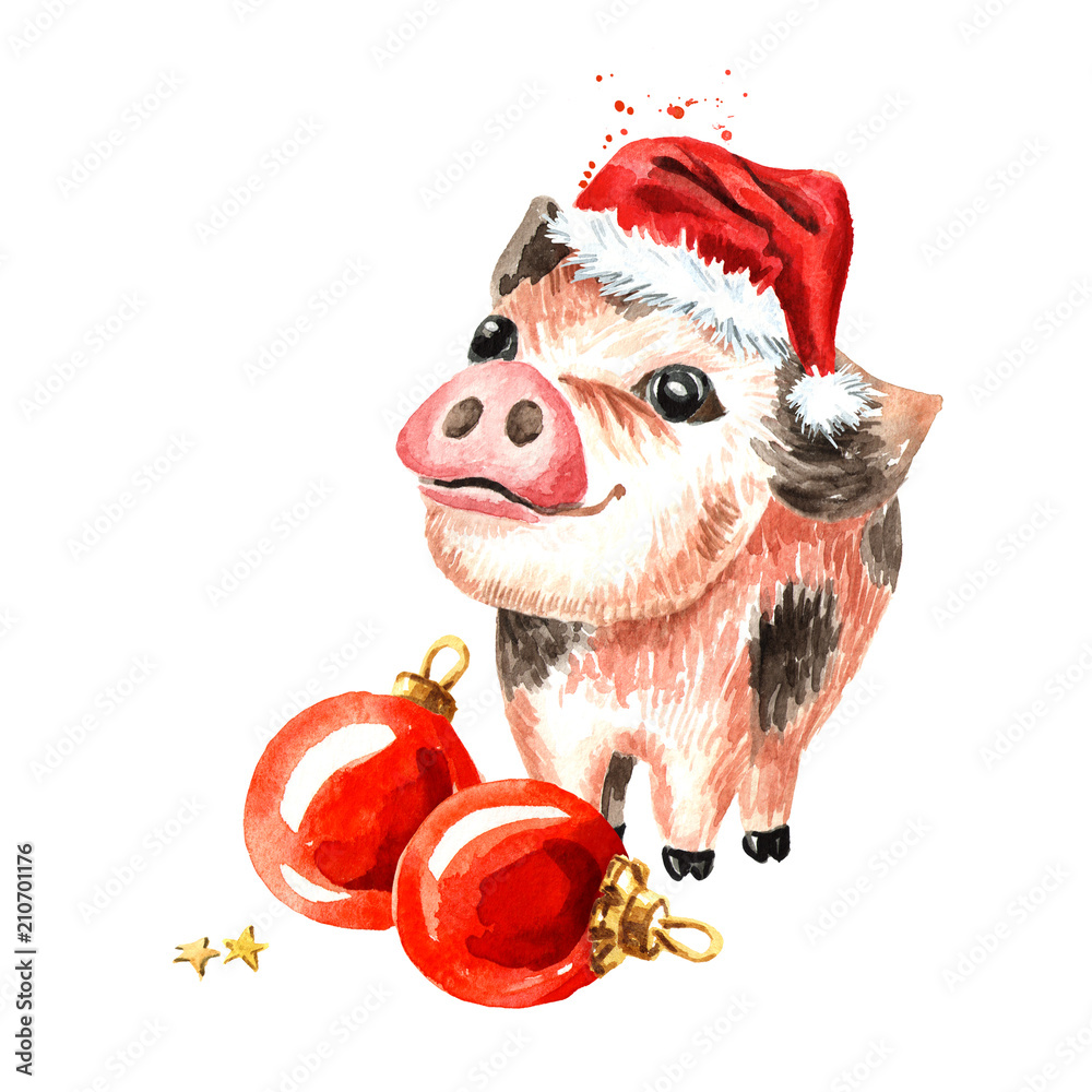 Mini Pig in Christmas cap and with red balls. Symbol of the new year ...