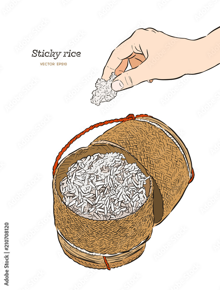 sticky rice in a bamboo wooden old style box, hand draw sketch vector ...