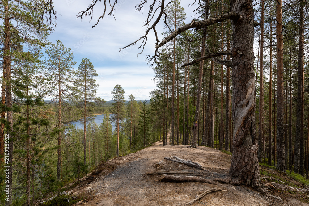 Beautiful scenery in Iso-Syote national park, Finland. Stock Photo ...