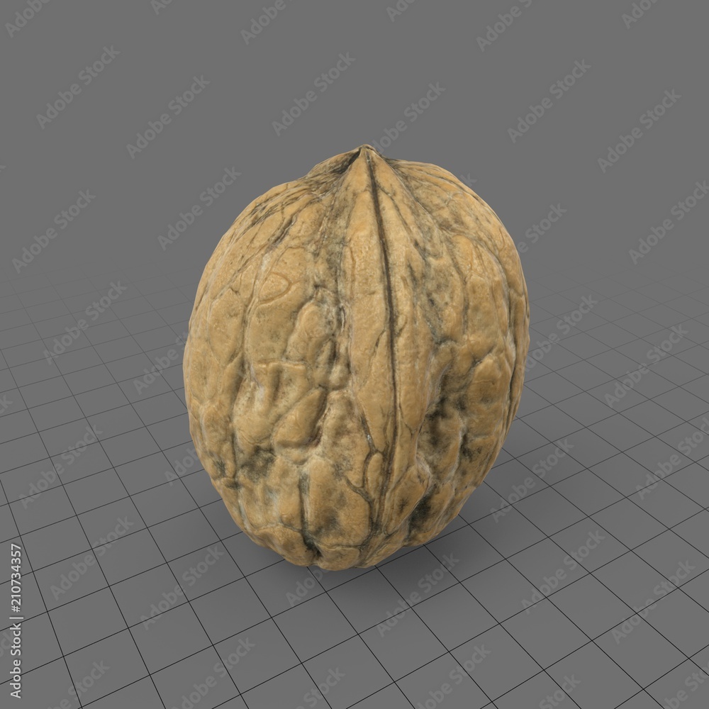 Walnut Stock 3D asset | Adobe Stock