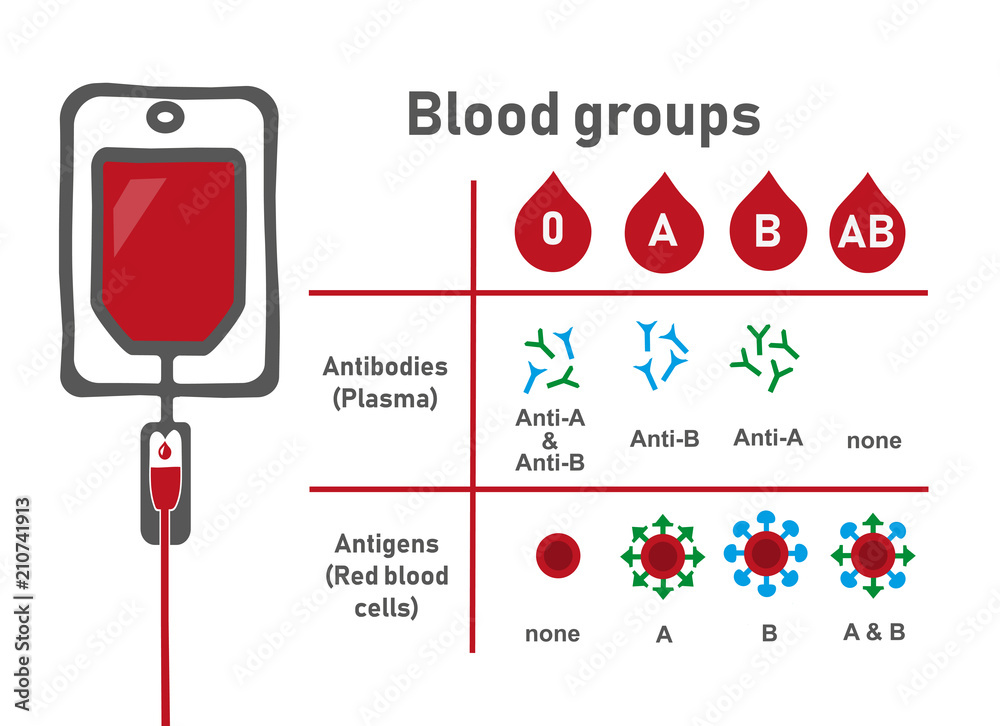 Schema der Blutgruppen nach dem AB0-System Stock Vector | Adobe Stock
