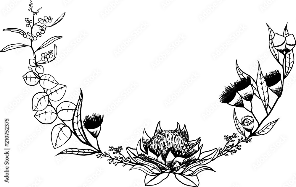 Australian Floral Flower Wreath Border Line Drawing Stock Vector ...