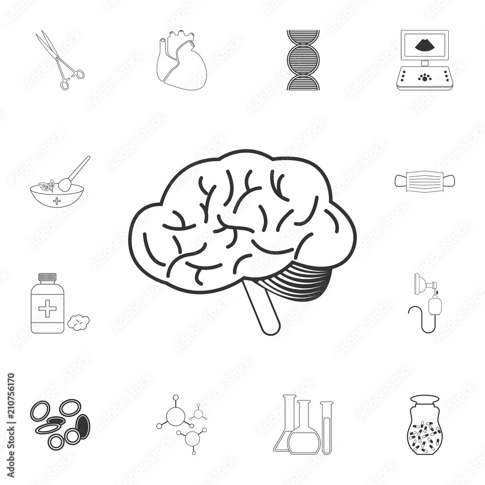 The human brain icon. Simple element illustration. The human brain ...