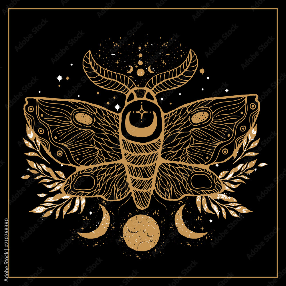 Sketch graphic illustration Beautiful gold Moth with mystic and occult ...