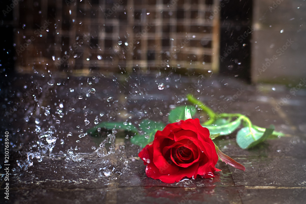 Beautiful Rain Scenes