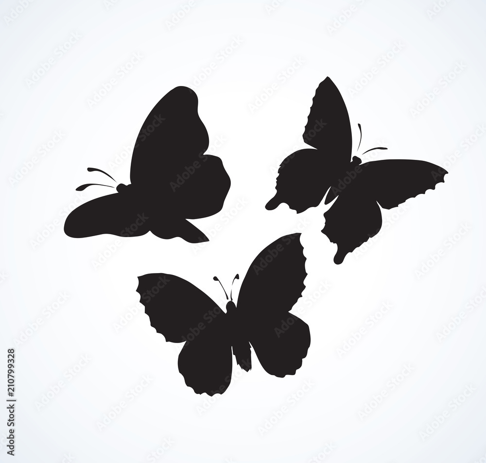 Butterfly. Vector drawing Stock Vector | Adobe Stock