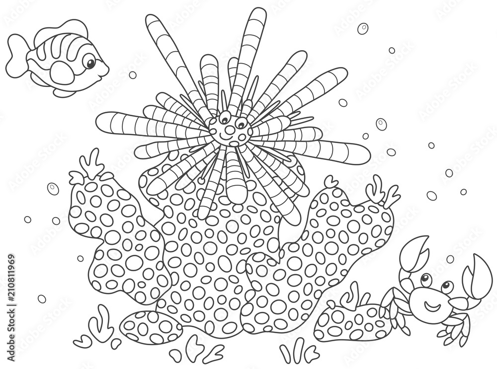 Sea Urchin Coloring Page