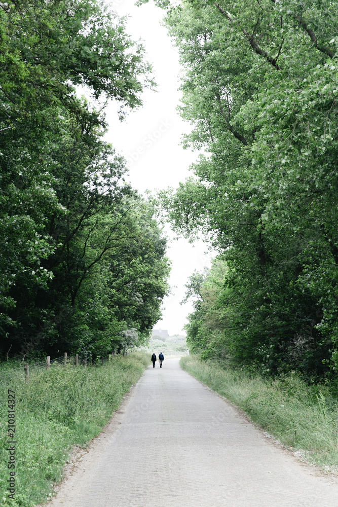Two people walking on a path in nature. Stock Photo | Adobe Stock