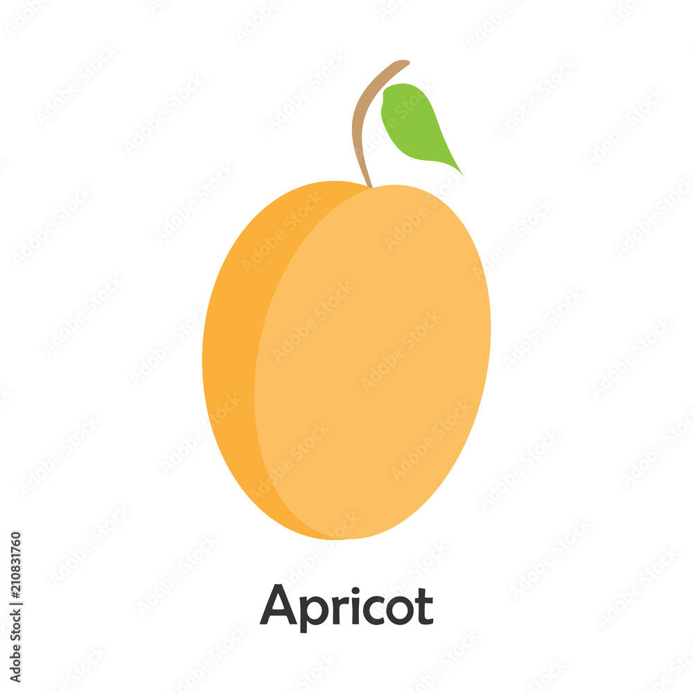Apricot in cartoon style, card with fruit for kid, preschool activity ...